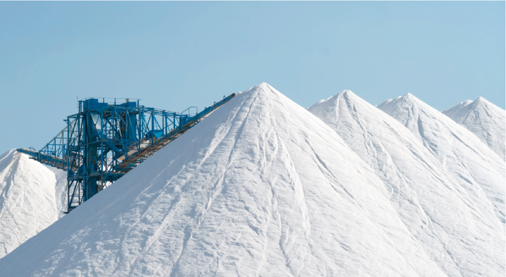 Measurement of mass flow and density in salt production - Hamall ...